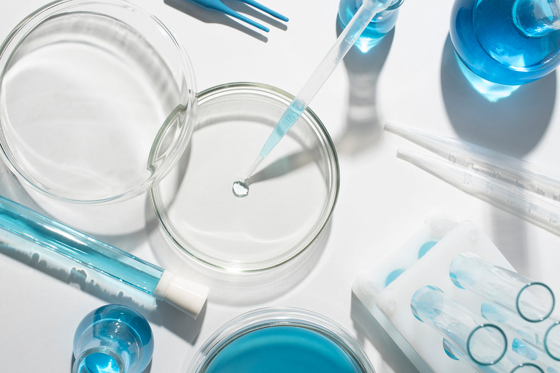 About us – ELFORMULA